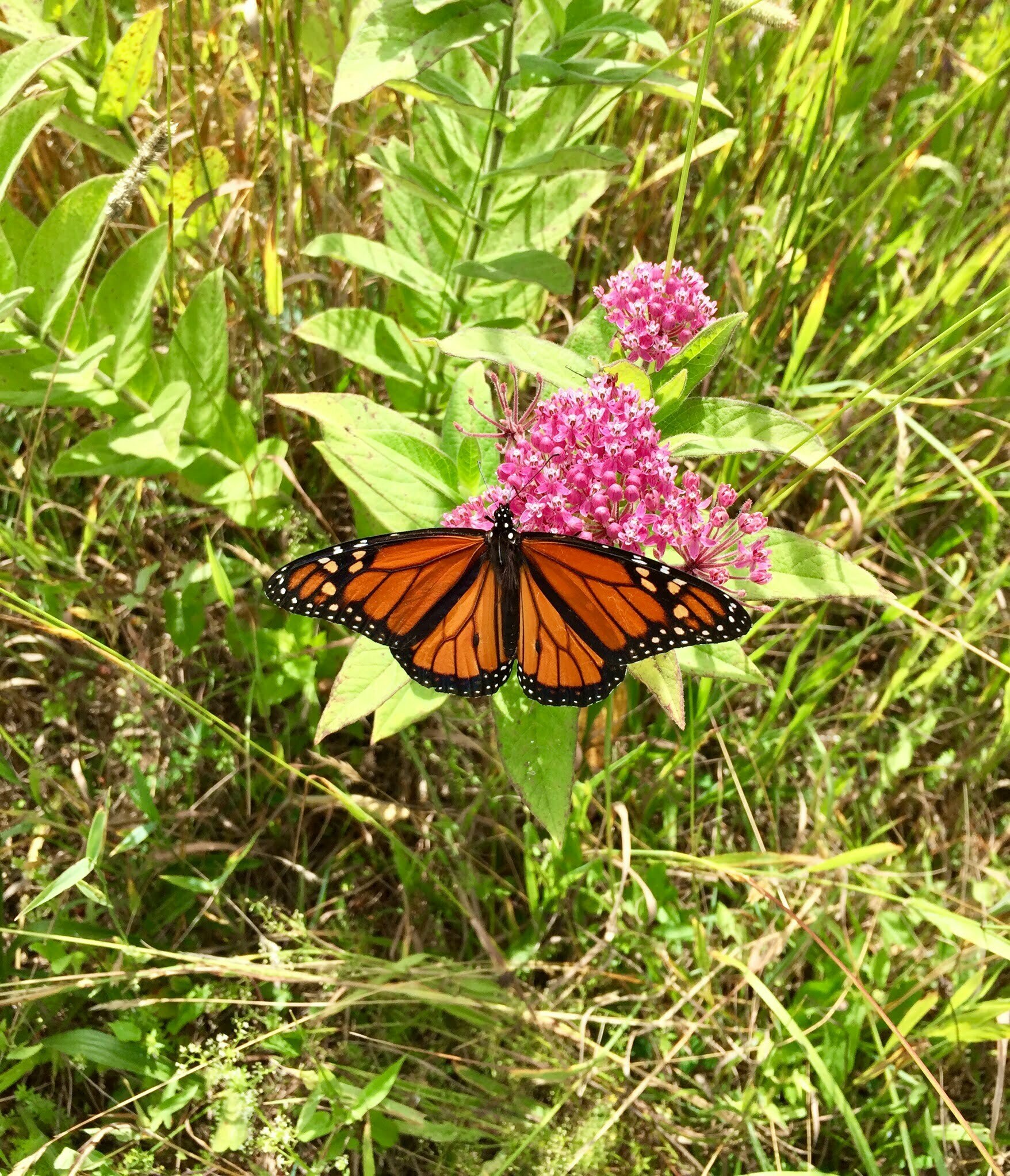 #ProtectingSK – South Kingstown Land Trust